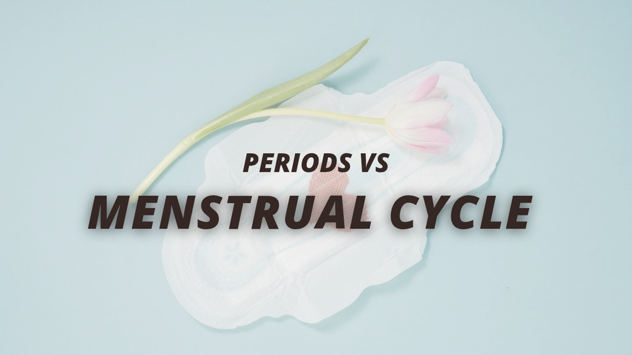 Introduction to Menstrual Cycle - Sadhana